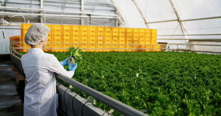 How agri-tech can boost domestic food production in Singapore and UAE