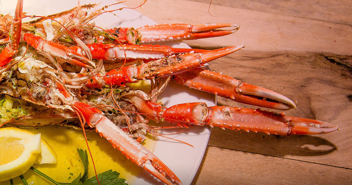 2 | The Pro Chef Middle East