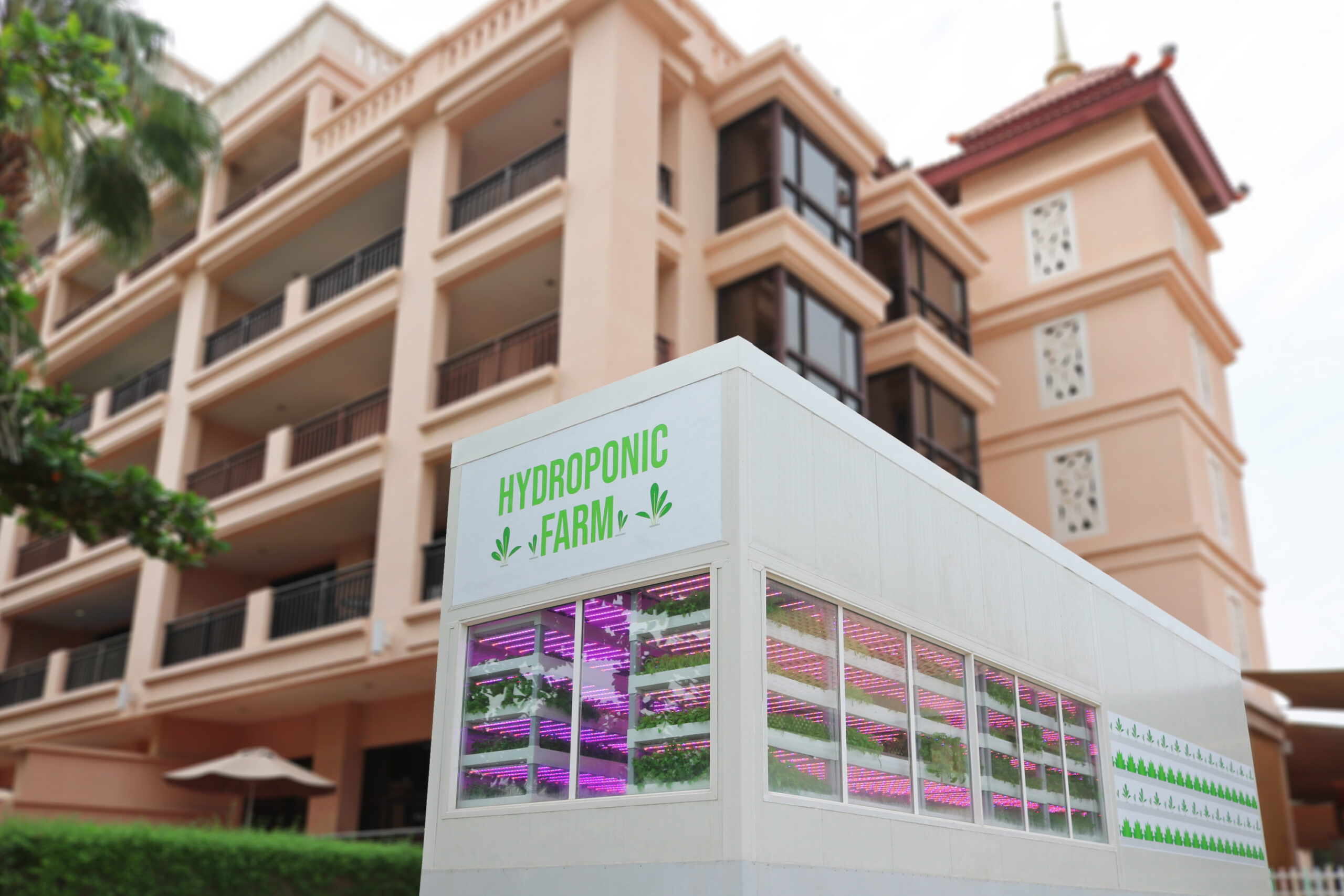 Anantara The Palm Dubai Resort introduces its on-site Hydroponic Farm ...