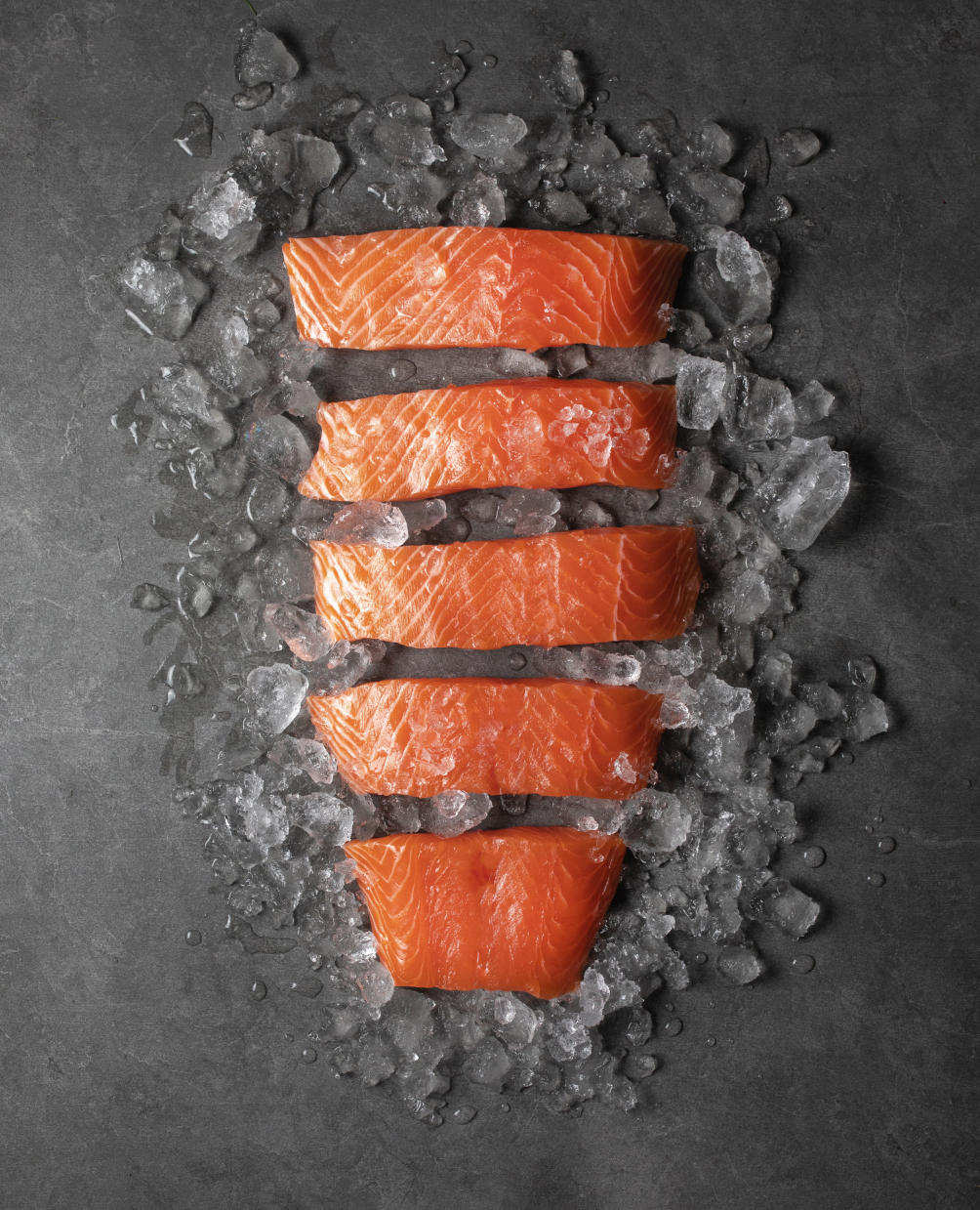 BOGS0092 1 | The Pro Chef Middle East